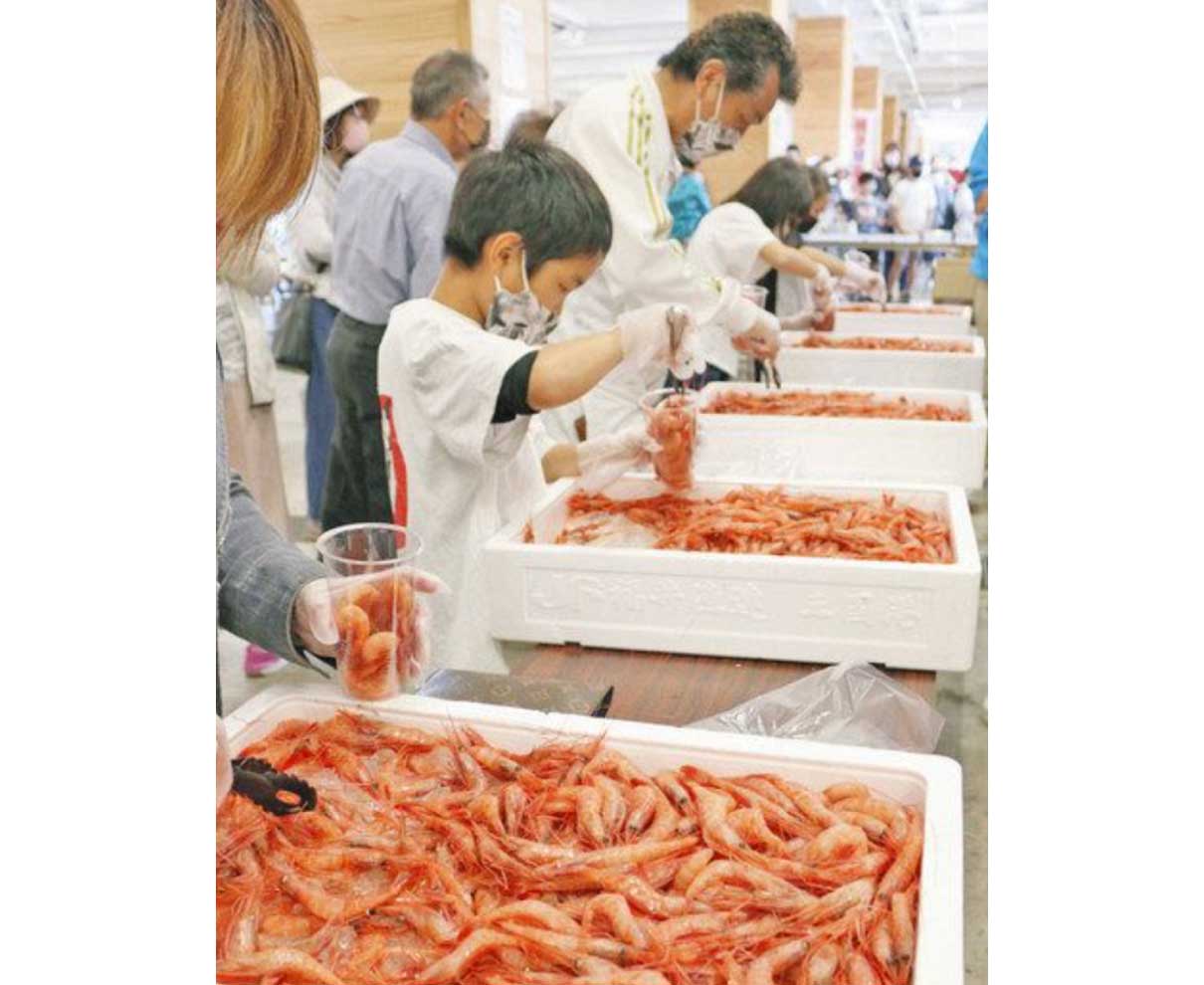 ふくい甘えび もりもり 三国港市場で催し 県産ブランドPR | 日々URALA（ウララ）福井県のおすすめ情報