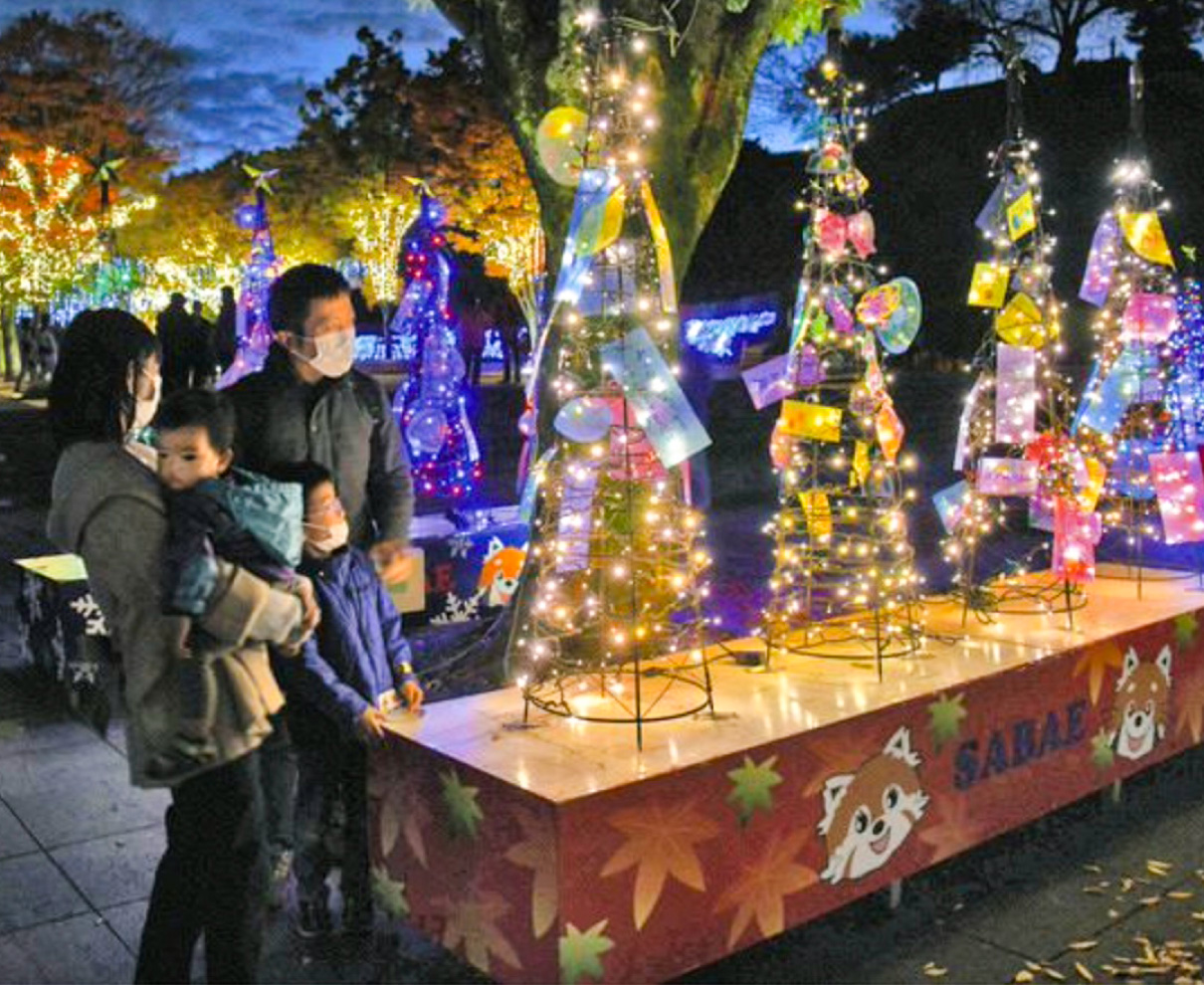 一足早く冬のきらめき 鯖江・西山公園でツリー点灯 | 日々URALA（ウララ）福井県のおすすめ情報
