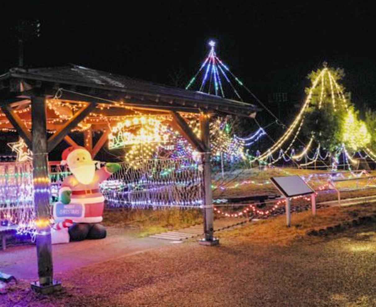 冬の夜、きらめく道 若狭中心部で住民ら装飾 | 日々URALA（ウララ）福井県のおすすめ情報