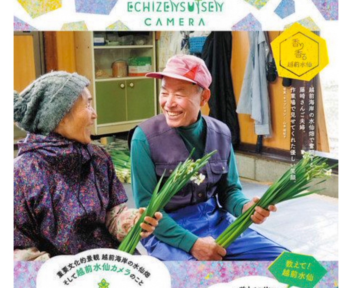 越前水仙ポスターで発信 農家の姿にスポット 市民グループ作製協力 | 日々URALA（ウララ）福井県のおすすめ情報