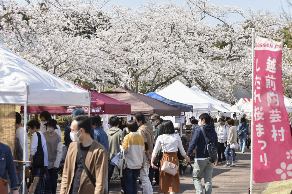 第11回越前陶芸村しだれ桜まつり | 日々URALA（ウララ）