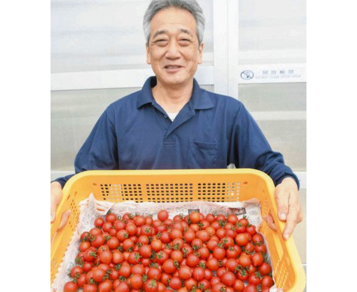 福井のミニトマト、全国「銀」 ファーム順天「恋の実」 | 日々URALA（ウララ）福井県のおすすめ情報