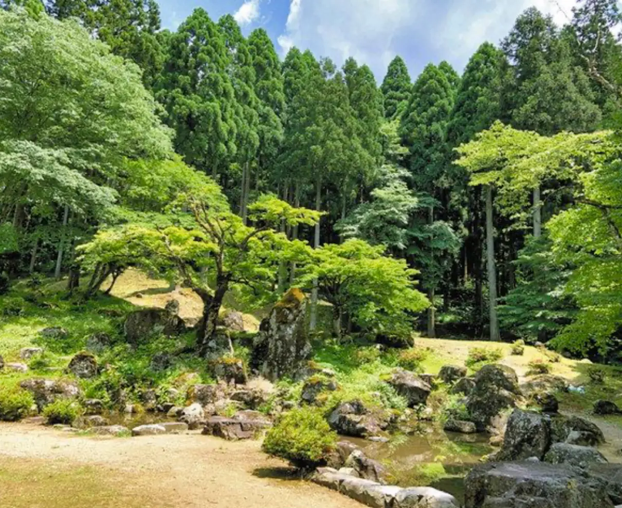 戦国時代に近い景観へ 朝倉氏遺跡 | 日々URALA（ウララ）福井県のおすすめ情報