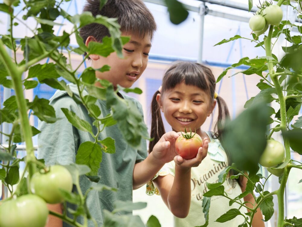 いけだの夏を食べよう（野菜収穫+マヨネーズ作り+ランチ） | 日々URALA（ウララ）