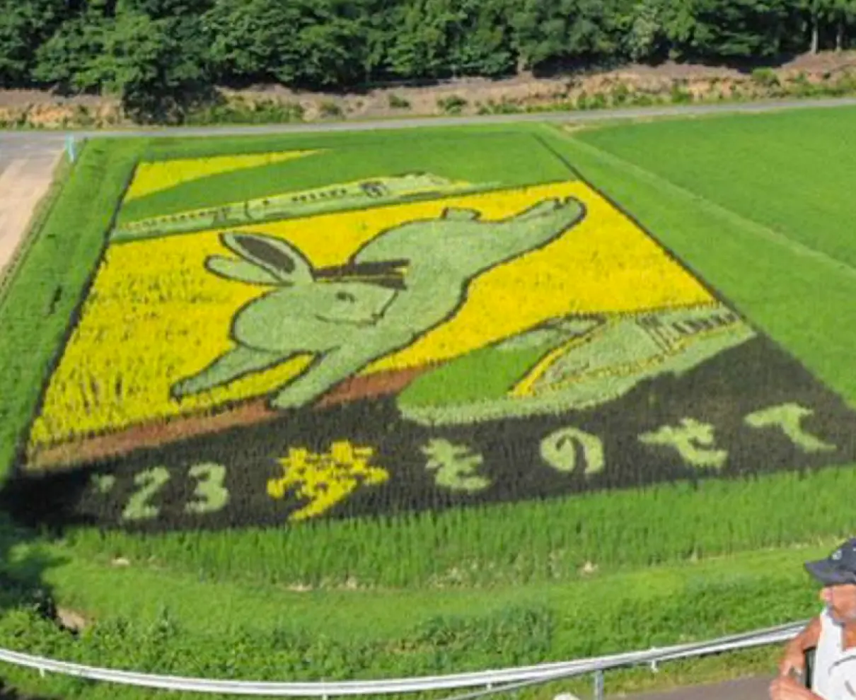 新幹線の夢をのせて 越前町で田んぼアート | 日々URALA（ウララ）福井県のおすすめ情報
