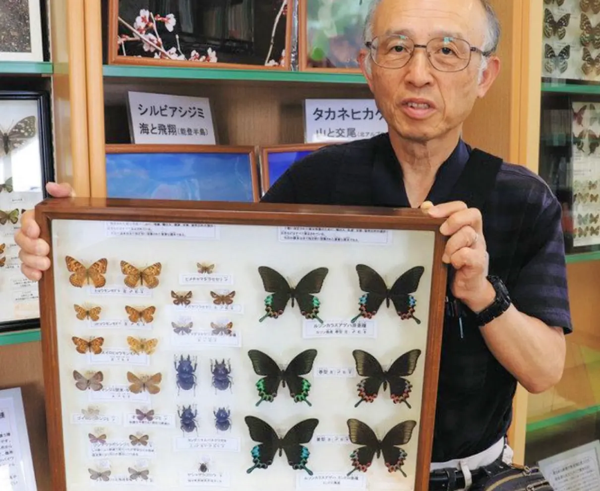 夏休みに羽ばたけ好奇心 福井で希少種標本展示 | 日々URALA（ウララ）福井県のおすすめ情報