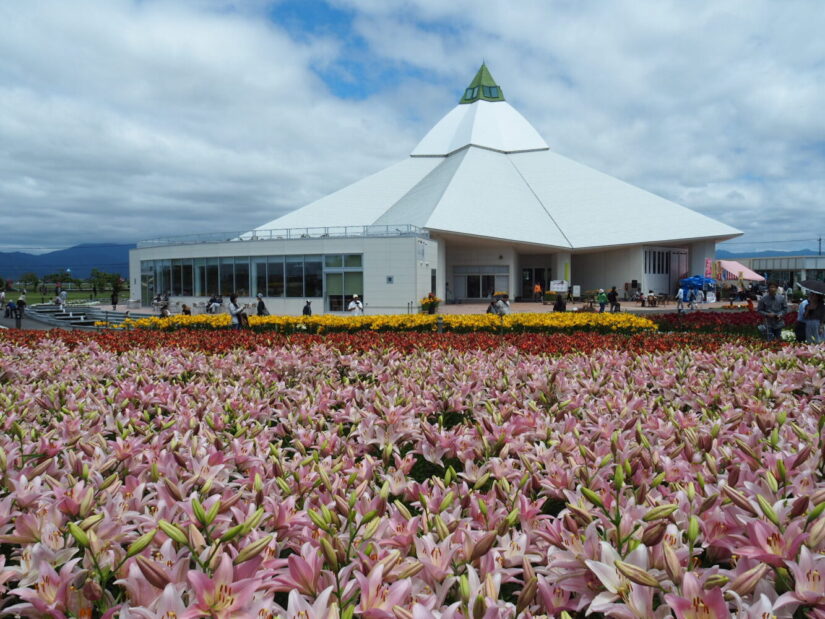 ゆりフェスタ2024 | 日々URALA（ウララ）