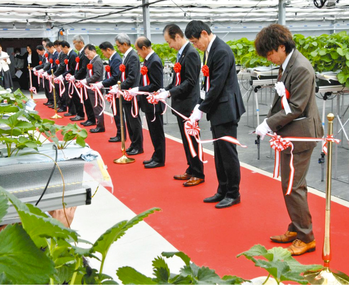北陸最大級 イチゴ栽培施設 越前市の明城ファームに完成 | 日々URALA（ウララ）福井県のおすすめ情報