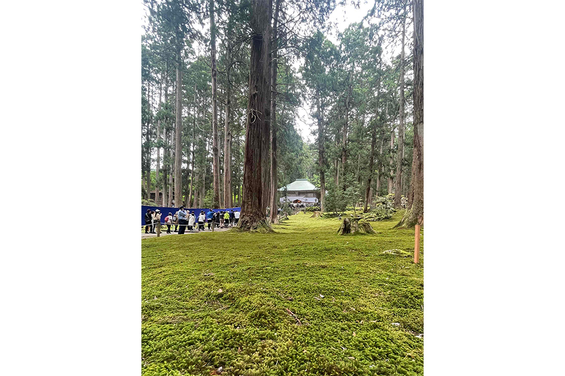 異例の展開で始まった今年の梅雨入り 北陸は？｜気象予報士 二村千津子の風と雲 | 日々URALA（ウララ）福井県のおすすめ情報